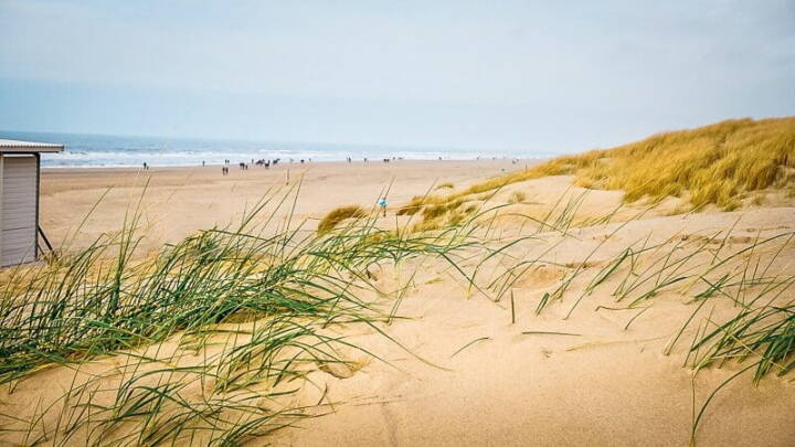 Bergen aan Zee - Ausflugsziele und Wandern in Nordholland