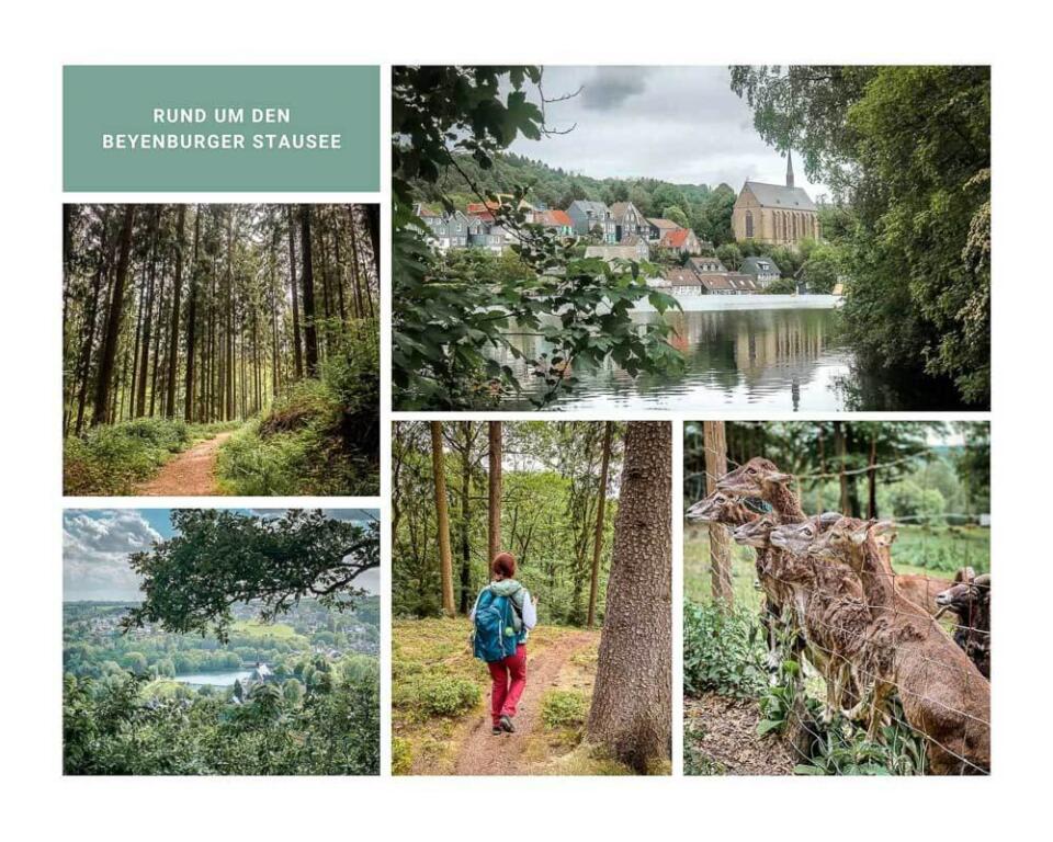 Wandern Im Bergischen Land Die Sch 246 Nsten Rundwanderwege Und Wander