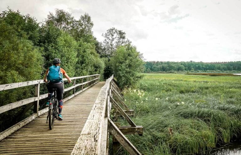 Wandern im Westerwald - Wilder WesterwaldSteig & Wunderschöne Wäller ...
