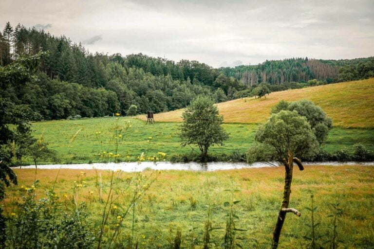 Wandern im Westerwald - Wilder WesterwaldSteig & Wunderschöne Wäller ...