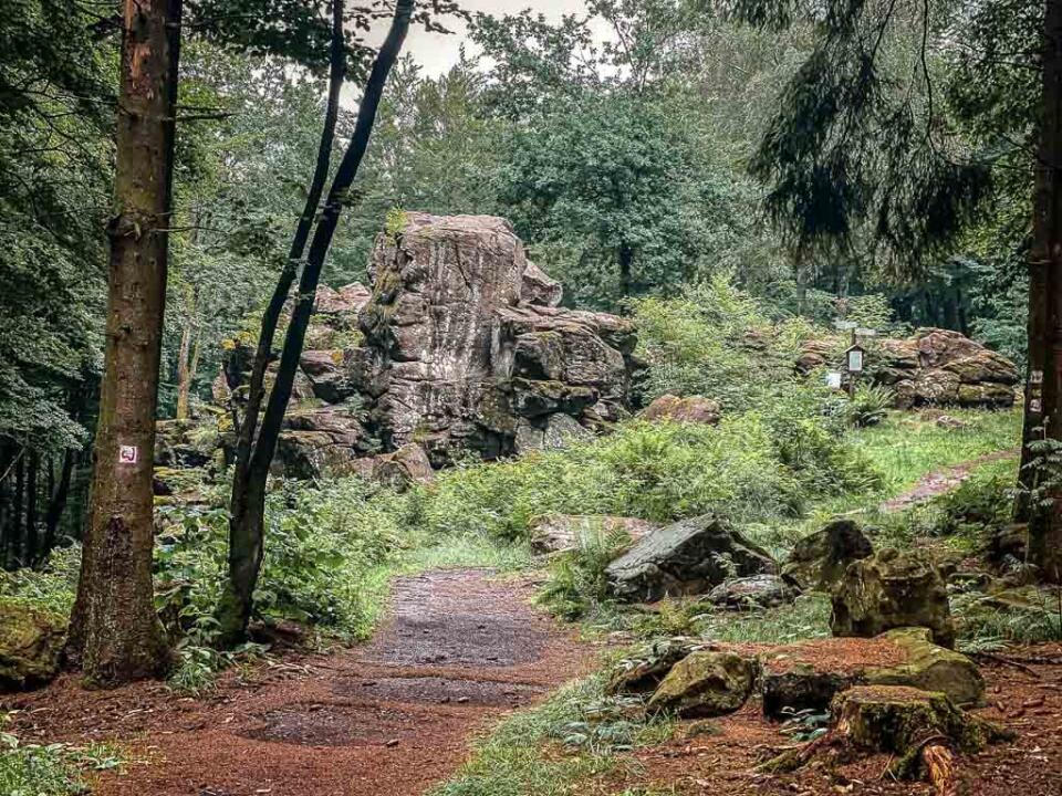 Wandern im Westerwald - Wilder WesterwaldSteig & Wunderschöne Wäller ...