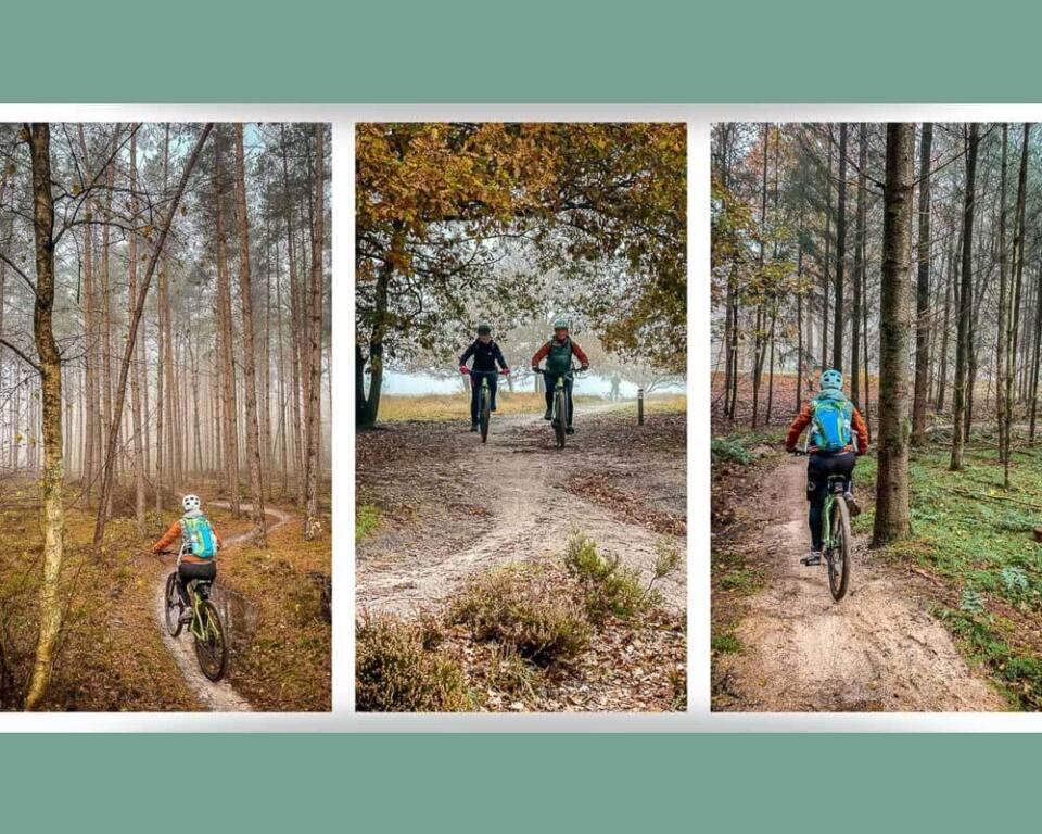 Veluwe: Natur pur rund um Ermelo und den Nationalpark De Hoge Veluwe ...