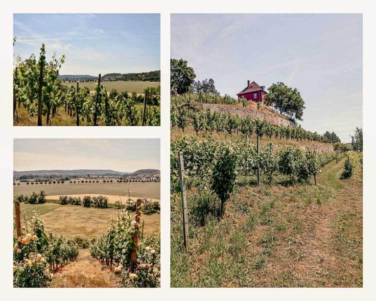 Die Saale Unstrut Region - Die schönsten Ziele in der Weinregion ...