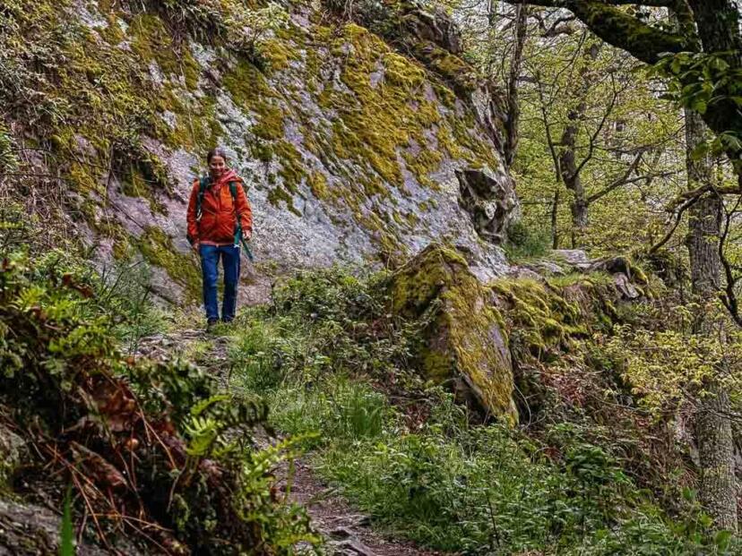 Elsass - Wandern zwischen Burgen, Wein und den Vogesen - Couchflucht.de