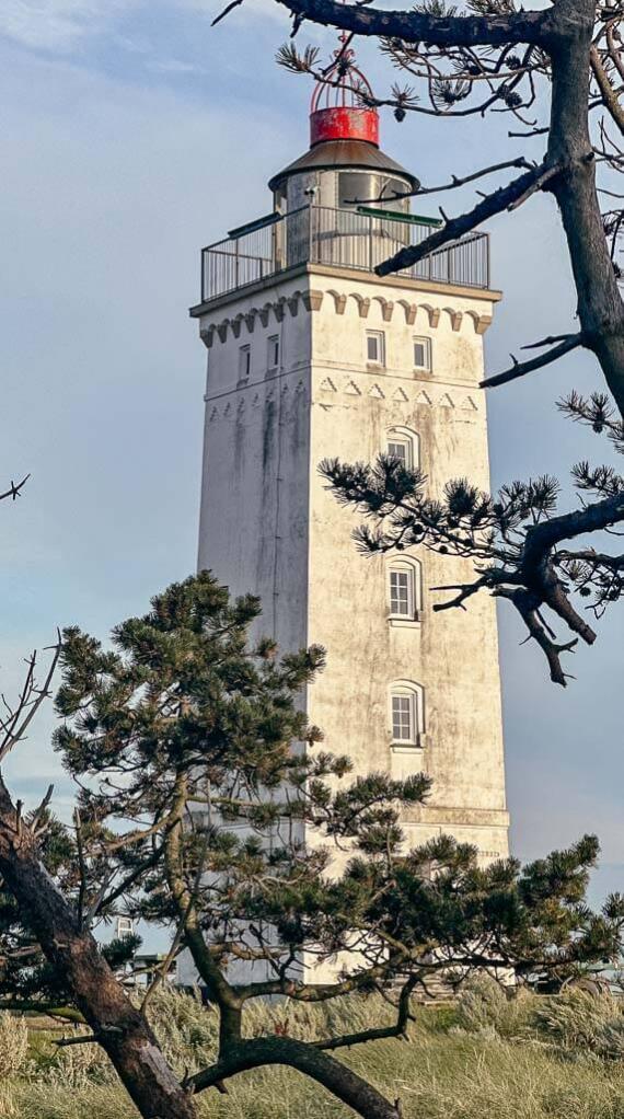 Lolland & Falster - Die 12 schönsten Orte und Aktivitäten in der ...